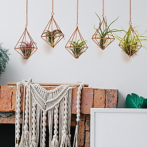 libproqia 5 Pcs Hanging Geometric Air Plants Holders Twisted Metal Airplant Hangers Small Diamond Shape Tillandsia Planter Display with Chains Himmeli Decor for Home and Office,Rose Gold