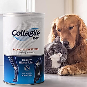 COLLAGILE® pet - Dog Hip & Joint Care | Effective Powder Supplement | Clinically Tested by Vets | 100% Natural | Tasteless and Odorless