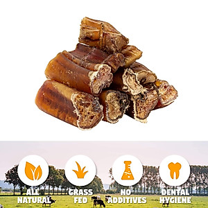 Downtown Pet Supply 2 LB, 2-3" Bites, Rawhide Free Dog Chews Long Lasting and Non-Splintering - Single Ingredient, All Natural Dog Treats for Small Dogs and Puppies - Grass-Fed Beef Bully Sticks