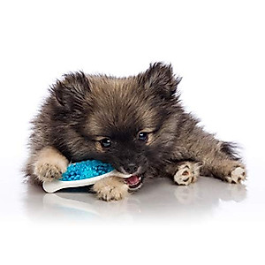 Hartz Chew 'n Clean Tuff Bone Bacon Scented Dental Dog Chew Toy - Small