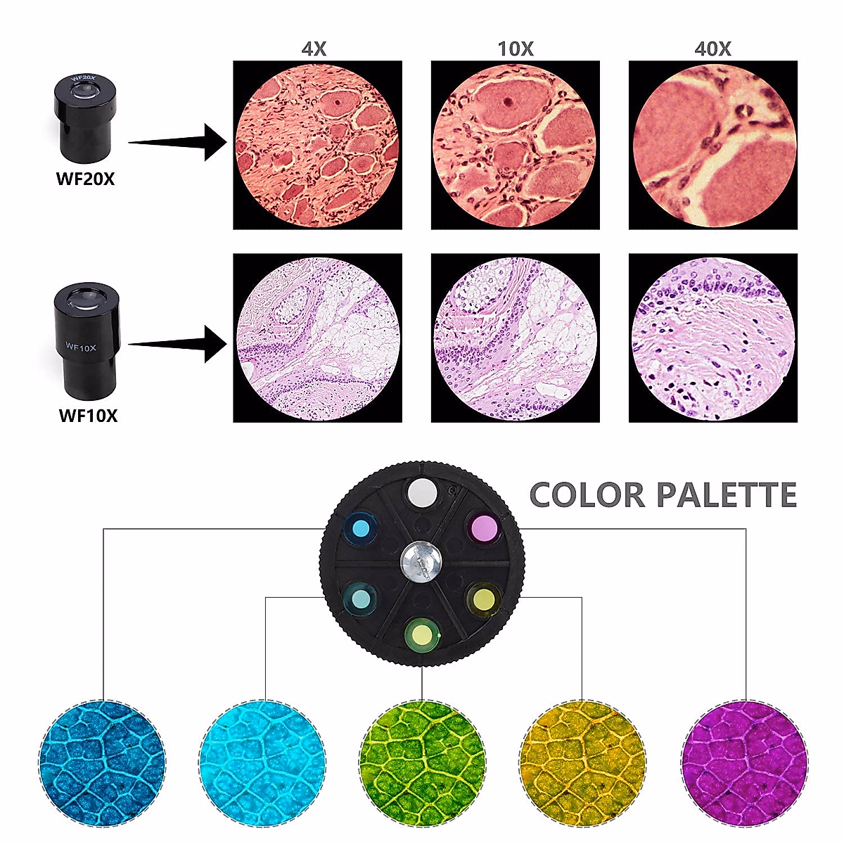 KiZHXlo Monocular Microscope 40X-1600X Magnification with Barlow Lens for Students Adults, Dual LED Illumination, with Science Kits Beginners Microscope Includes Phone Adapter