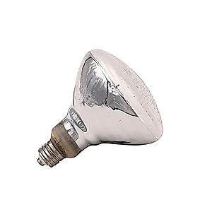 Mega-Ray Mercury Vapor Bulb - 160 Watts (120V)