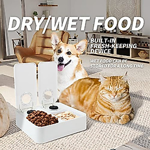 All for Paws Automatic Cat Feeder 2 Meal Dog Feeder, Dry and Wet Food Dispenser with 48-Hour Timer, Ice Pack Included, Dishwasher Safe