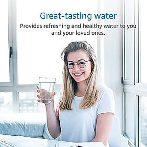 AQUACREST Countertop Water Filter, Replacement for AQ 4O35, AQ4000, AQ4050, AQ4500 Drinking Water Systems