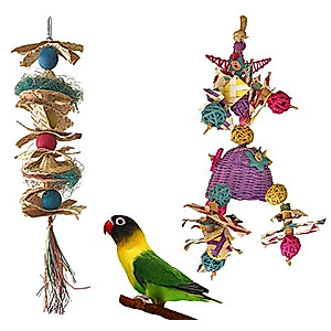 Fetch-It Pets 2 Pack Bird/Parrot Shazam & Hat Hat Hooray Foraging Toys Suitable for Small Parakeets, Cockatiel, Conures, Finches, Budgie, Macaws, Parrots, Love Birds
