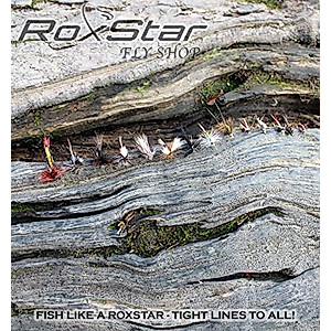 RoxStar Fly Shop Trophy Trout 24pk | Top Wet & Dry Flies for Trout. | Trout Flies Proven Nationwide to Catch Fish! | Tied in-House Never Outsourced! Fathers Day Gift Fly Fishing Gift