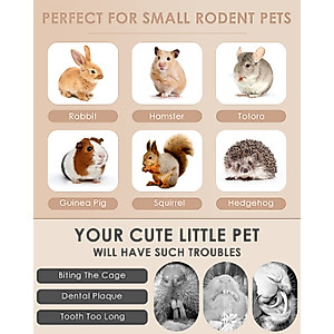 Bissap 12PCS Rabbit Chew Sticks, Hanging Chew Sticks & Cakes Timothy Hay Carrot Strawberry Treat for Bunny Chinchilla Guinea Pig Hamster and Other Small Pets Molar Snack Toy