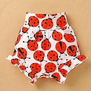 Ladybug Outfit for Baby Girl Newborn Romper Shorts Pants Bowknot Headband Hawaii Ladybug Themed Birthday Party Supplies Decorations Half 1st Birthday Coming Home Cake Smash Red - Ladybug 9-12 Months