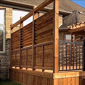 Nuvo Iron LSB48 Hardware System-Holds up to 11 Boards Louver, Black