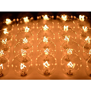 Clear Globe G40 Replacement Bulbs E12 Screw Base Light Bulbs 5W Globe Bulbs 1.5-Inch String Light Replacement Bulbs for Indoor Outdoor Patio Decor,Pack of 25