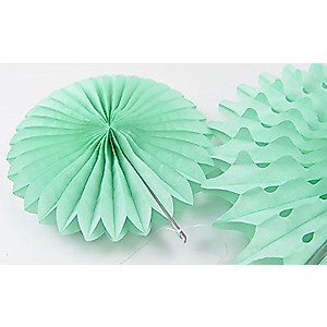 Furuix Mint Peach Baby Shower Decorations Mint Cream Peach Tissue Paper Fans Mint Peach Birthday Decorations Wedding Gender Reveal Bridal Shower Bachelorette Decorations Mint Green Peach Party Decor