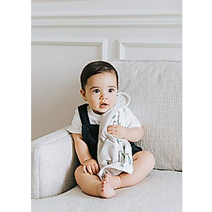 Copper Pearl 3-Layer Knit Security Blanket Set Sized 16" x 16" 2-Pack Pacific