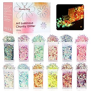 Chunky Glitter for Makeup, Singer Music Concerts Rave Glitter, Eleanore's Diary 12 Colors Glow in The Dark Glitter for Women, Art Luminous Chunky Glitter Sequins for Resin Nail Body Face Party Decor
