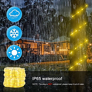 LED Rope Lights Outdoor, 98.4Ft/300 LEDs Dimmble String Lights Rope Lights with Remote and Timer, IP65 Waterproof Fairy String Lights Battery Powered for Home Garden Christmas Tree Patio (Warm White)