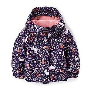 The Children's Place,And Toddler Heavy 3 in 1 Winter Jacket,Wind-resistant Water-resistant Shell,Fleece Inner,12-18 MONTHS