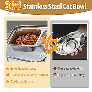 BNOSDM Raised Cat Bowls Stainless Steel 15° Tilted Elevated Kitten Food Bowl Stand, Double Food and Water Bowl Set Pet Anti Vomiting Feeder and Scoop Anti Slip Feet for Cats and Small Dogs