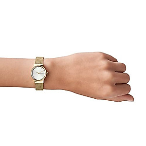 Skagen Women's Freja Quartz Watch with Stainless Steel Mesh Strap, Gold, 12 (Model: SKW2717)