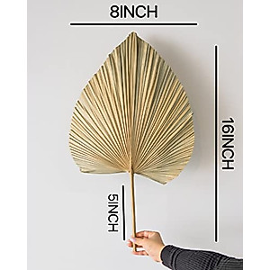 4PCS Pale Yellow Natural Dried Palm Leaves, 16"x8" Dried Palm，WAMPAR Hand-cut Heart-shaped Dried Palm Spear Bohe Decoration, Suitable for Bohe Wedding, House Party Decoration, DIY Flower Decoration