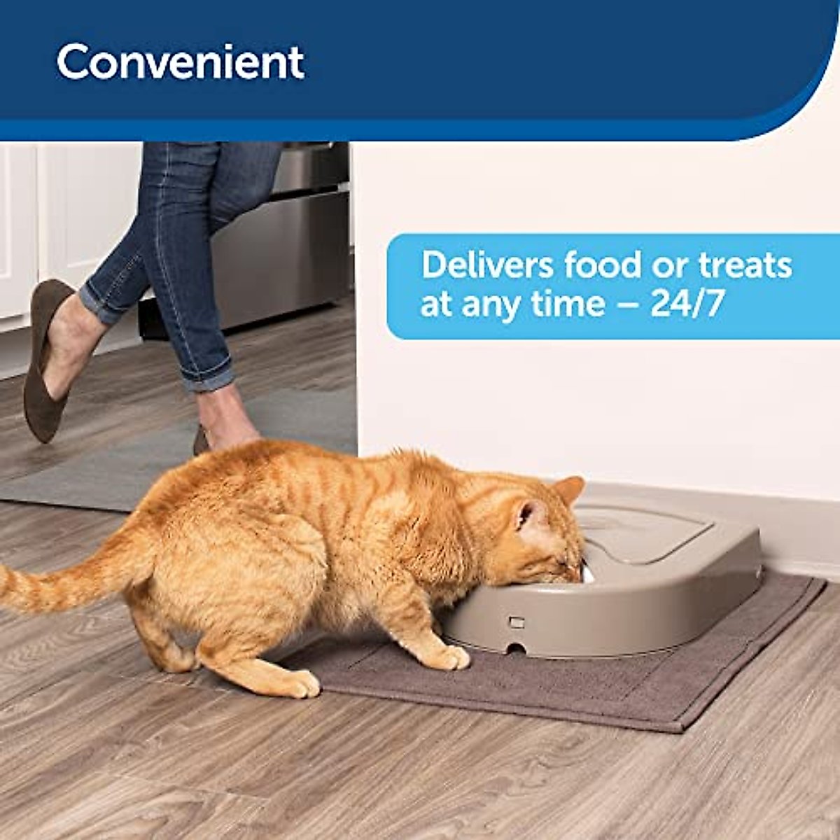 PetSafe 5 Meal Dog Food Dispenser - Storage for Up to 5 Cups of Kibble or Treats of Any Size - Tray Automatically Rotates According to User Programming to Deliver Pre-Planned Meals at Precise Times