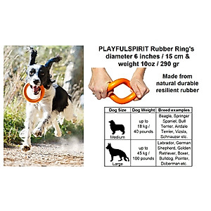 PlayfulSpirit Durable Natural Rubber Ring - Great Tug of War Dog Toy, Fun for Throw, Chase and Fetch Games, Exercise and Dog Training Toy for Medium to Large Breed Puppies and Adult Dogs (L, Orange)