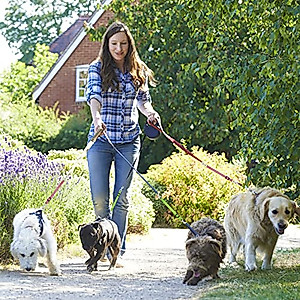 Cobee Dog Collar Clips, 2 Pcs Reflective Nylon Puppy Collar, Backup Collar, Safety Adjustable Pet Dog Collar Harness Connector, Double Ended Backup Clasp Clip for Dog Puppies(Green, Pink)