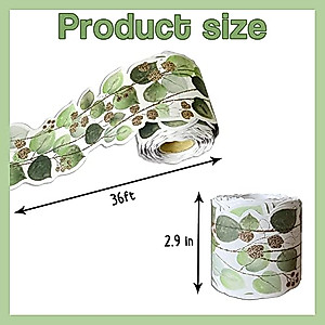36ft Eucalyptus Boho Border Trim Decor Tropical Leaves Greenery Bulletin Board Borders Wall Decals for Classroom Back to School Decorations