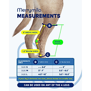 MerryMilo Dog Leg Brace for Rear Hock & Ankle, Canine Hind Leg Joint Compression Wrap for Torn ACL & CCL, Injury and Sprain Protection, Wound Care and Loss of Stability 1 Pair, Size: Large