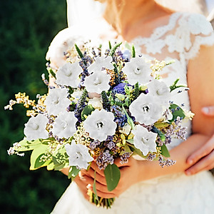 Syhood 100 Pieces Artificial Roses Head Fake Silk Rose Head DIY Fake Roses Heads for Wedding Flower Wall DIY Crafts Bouquet Decoration (White)