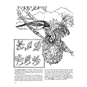 A Walk in the Woods (Dover Nature Coloring Book)