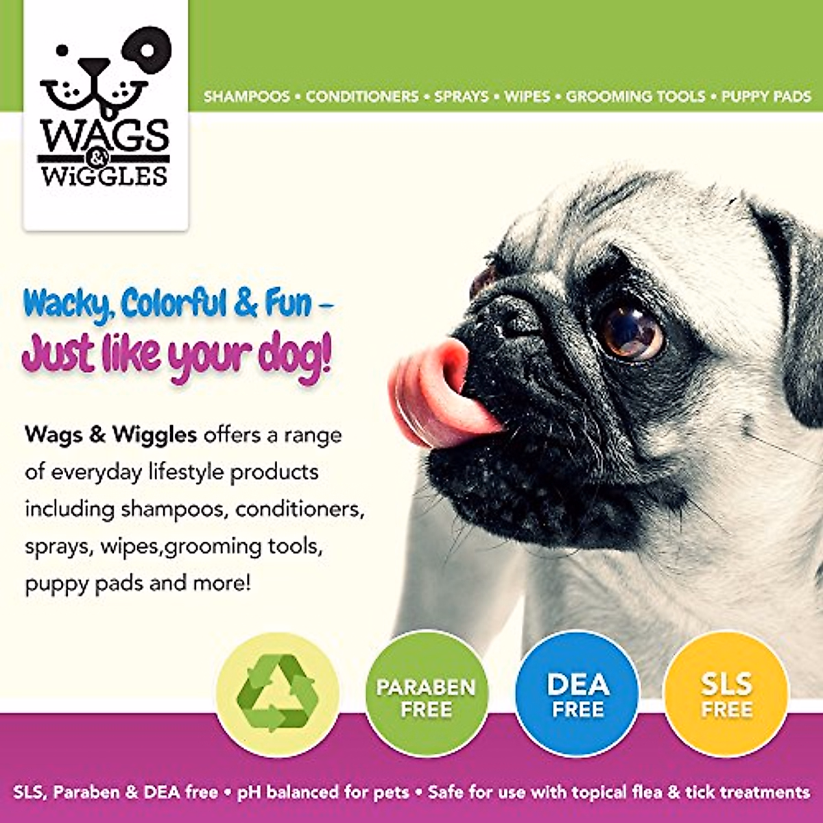 Wags & Wiggles Two-Sided Bristle and Squiggly Pin Brush for Small Dogs | Dog Brush for Dogs With Short Hair | Best Grooming Supplies for All Dogs, 2-in-1 Dog Grooming Brush