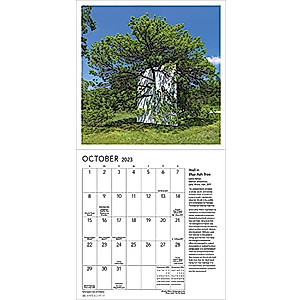 Environmental Art 2023 Wall Calendar: Contemporary Art in the Natural World | 12" x 24" Open | Amber Lotus Publishing