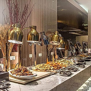 LINKANRUO Food Heating Lamp, Double Heat Lamp Food Warmer, with Scattered Vents and Dual 250w Bulbs, Restaurant Kitchen Buffet Warmer Table, Free Standing Commercial and Home Use Lamps(Silver)