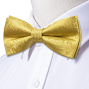 Dubulle Mens Pre-tied Bowtie and Pocket Square Set Paisley/Striped/Checks Bowties for Men,A Gold