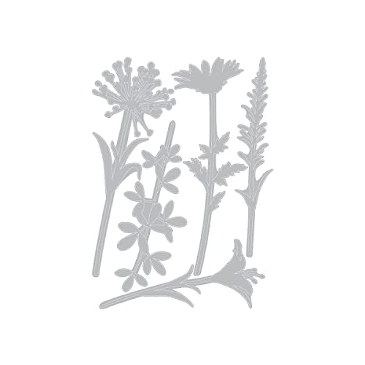 Sizzix Thinlits Die Set , Wildflower Stems #2 by Tim Holtz, 5 Pack, One Size, Multicolor 5 Piece