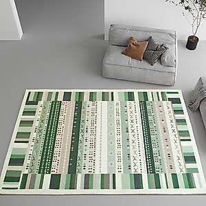 DweIke Large Fluffy Area Rugs for Living Room Bedroom, 5x7 Ft Thickened Memory-Foam Carpet, Machine-Washable Rug Suitable for Kids Girls Boys Bedroom Home Décor, Non-Slip Backing Rug, Green