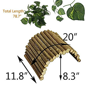 Hamiledyi Wooden Reptile Hideout Bearded Dragon Bendy Bridge Climbing Ladder Hiding Hut Reptiles Hide Cave Habitat Decor for Lizards Gecko Spiders Snakes Tortoise(L:20" x 11.8")