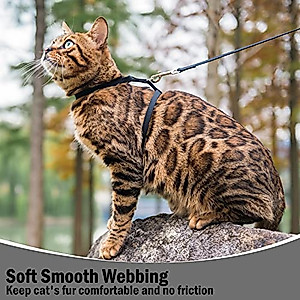 PUPTECK Adjustable Cat Harness Nylon Strap Collar with Leash Black