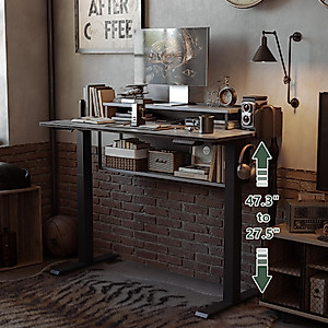 FEZIBO 48" Electric Standing Desk with Shelves, 48 x 24 Inch Sit Stand Rising Desk with Monitor Stand and Storage, Ergonomic Home Office Computer Desk, Rustic