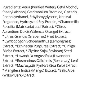 GIOVANNI Eco Chic Smooth as Silk Deeper Moisture Conditioner, 24 oz. - Apple + Aloe Extracts, Calms Frizz, Detangles, Wash & Go, Lauryl & Laureth Sulfate Free, Paraben Free, Color Safe