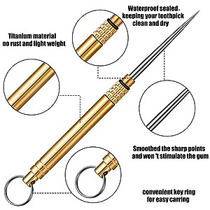 5 Pieces Portable Titanium Toothpicks Pocket Toothpicks Keychain Brass with Metal Toothpick Holder for Outdoor Picnic Camping Accessories