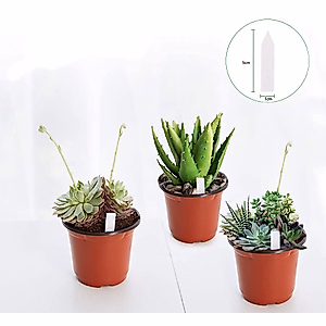 JERIA 100-Pack 4 Inch Plastic Plant Nursery Pots Come with 100 Pcs Plant Labels, Seedling Flower Plant Container and Seed Starting Pots