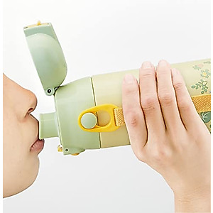 Skater SDC6N-A My Neighbor Totoro Sanpomichi Ghibli Children's Stainless Steel Water Bottle, Direct Drinking 20.9 fl oz (580 ml)