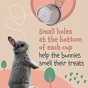 Evergreen Pet Supplies 8 PC Stacking Cups for Rabbits- Wheat Straw Toys with Cute Animal Designs - Bunny Stacking Cups to Play with Rabbits - Nesting Toys to Keep Busy-Graduated Sized Stackable Toys