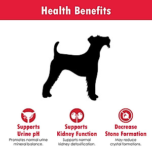 K-Plus Potassium Gluconate Renal Gel Plus Cranberry and EPA for Dogs and Cats - Veterinarian Approved Renal Supplement - Supports Potassium Balance - (6 Pack, Gel)