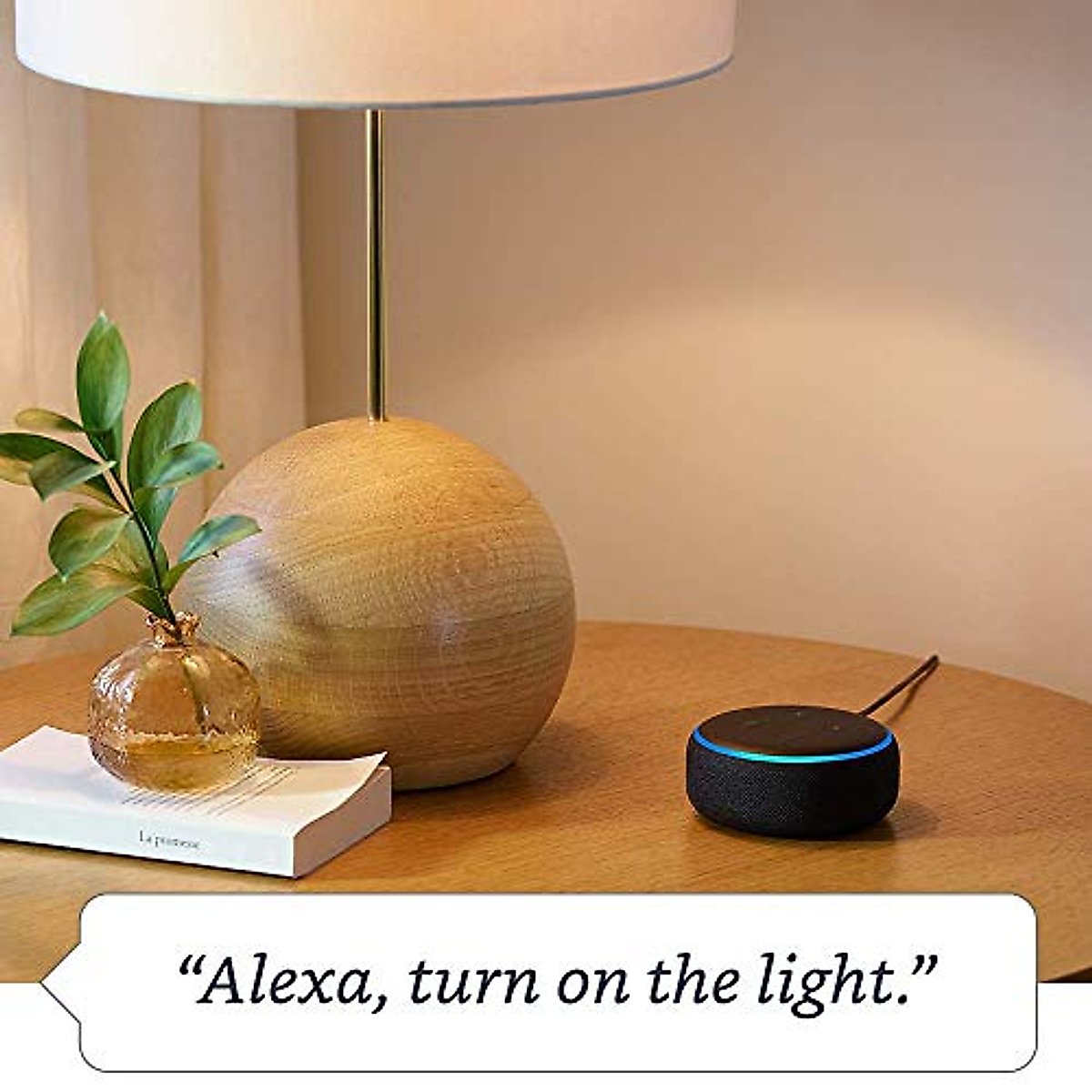 Echo Dot (3rd Gen) with Amazon Smart Plug Bundle - Charcoal