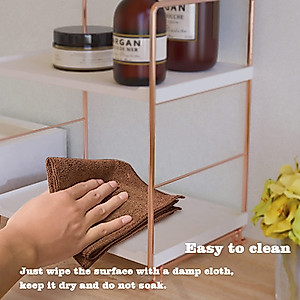 Desktop Cosmetics Storage Rack Rose Gold 2/3 Layers Bathroom Makeup Organizer Assembled Kitchen Seasoning Iron Storage Shelves (2-LAYERS)