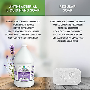 Plainly Earth Antimicrobial Liquid Hand Soap (64 Oz) - Antibacterial Soap Refill - Hand Soap Refill Bottle - Cruelty Free Moisturizing Soap, Sweet Lavender Rose