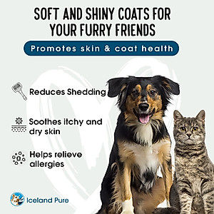 Sardine Anchovy Oil | 1296mg Omega | Unscented Pharmaceutical Grade | for Dogs & Cats | BPA-Free Brushed Aluminum Epoxy Coated Bottle with Pump 8.75oz