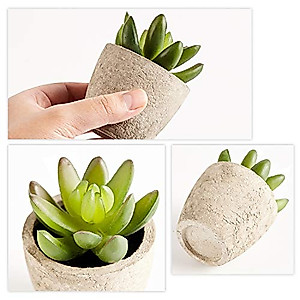 PRIMAISON Artificial Succulents Plants Potted Set-Decorative Fake Succulent Plant Faux Plastic Plant Indoor &Outdoor for House Office Desk Bathroom Kitchen DIY Decor Gift Set of 6