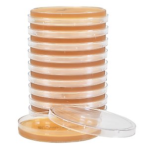 Malt Extract Agar with 0.01% Chloramphenicol, deep fill, for the cultivation, isolation, and maintenance of yeasts and molds, 15x100mm prepoured plate, order by the package of 10, by Hardy Diagnostics